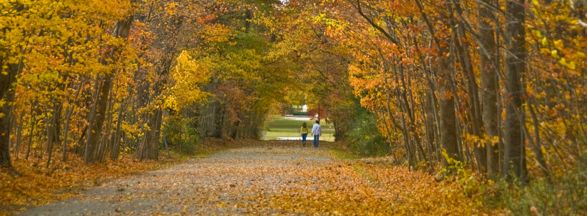 Login – Berry College – Websites for Berry Faculty, Staff and Student ...
